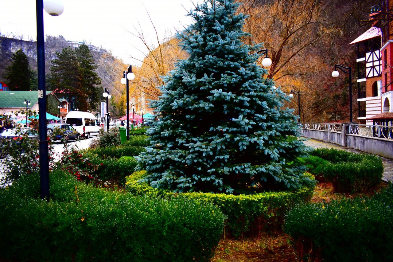 Курорт Боржоми: лечение, активный отдых и достопримечательности