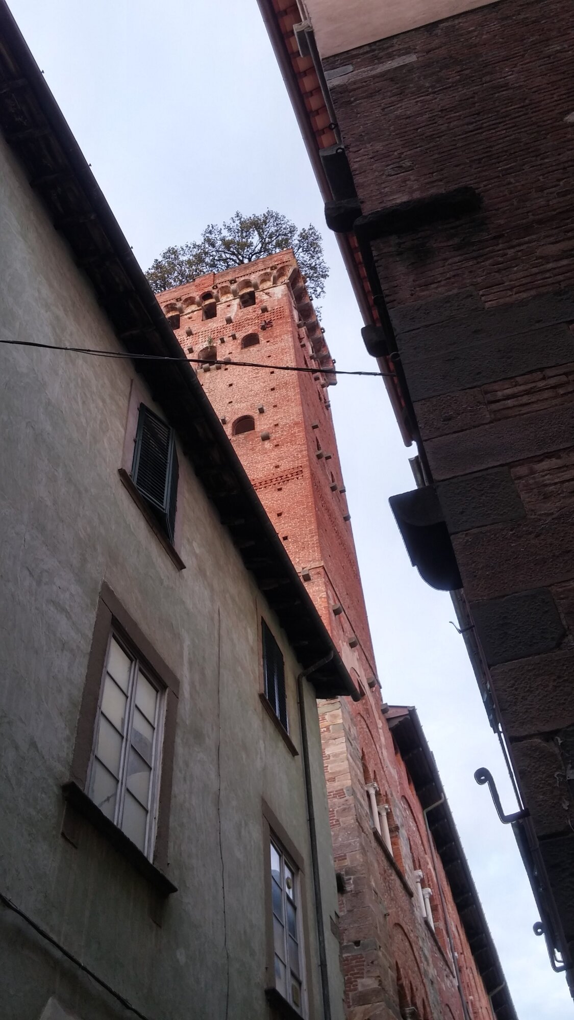 Lucca Sightseeing: a self-guided tour for one day