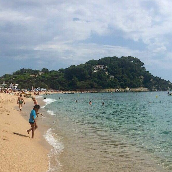 Beaches in and around Trieste: how to get there