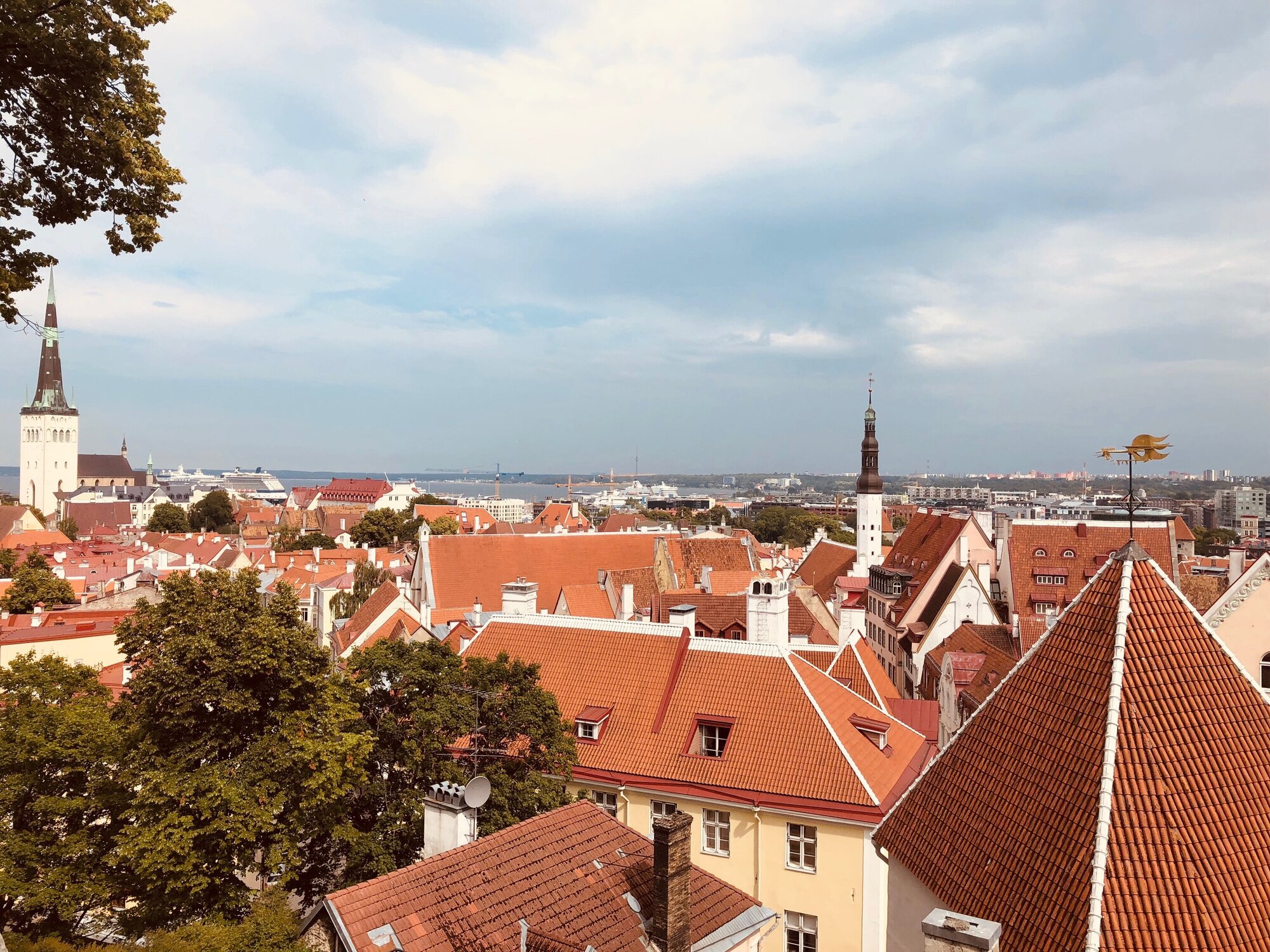 Tallinn from a bird's eye view: viewpoints with the best views of the city