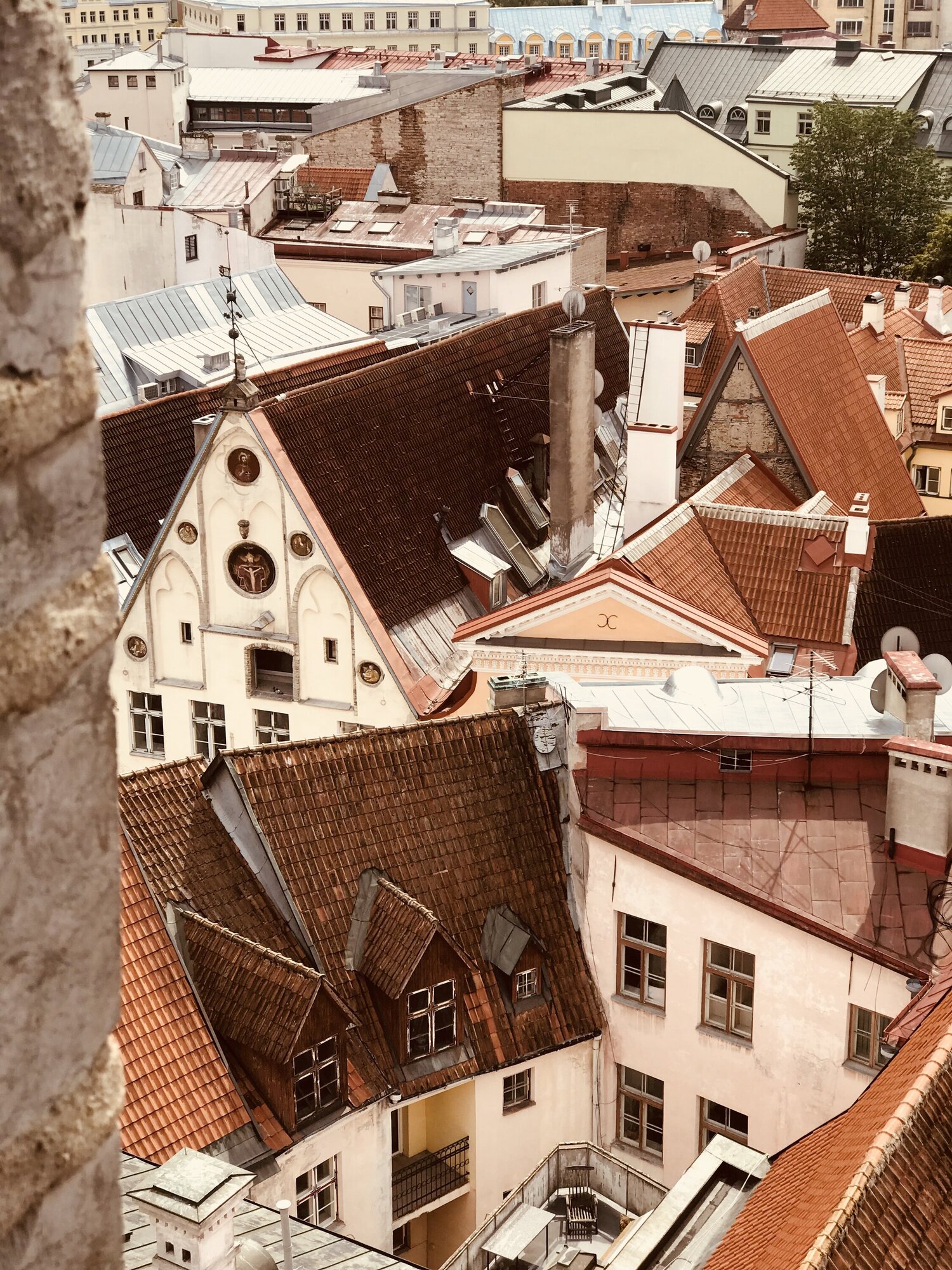 Tallinn from a bird's eye view: viewpoints with the best views of the city
