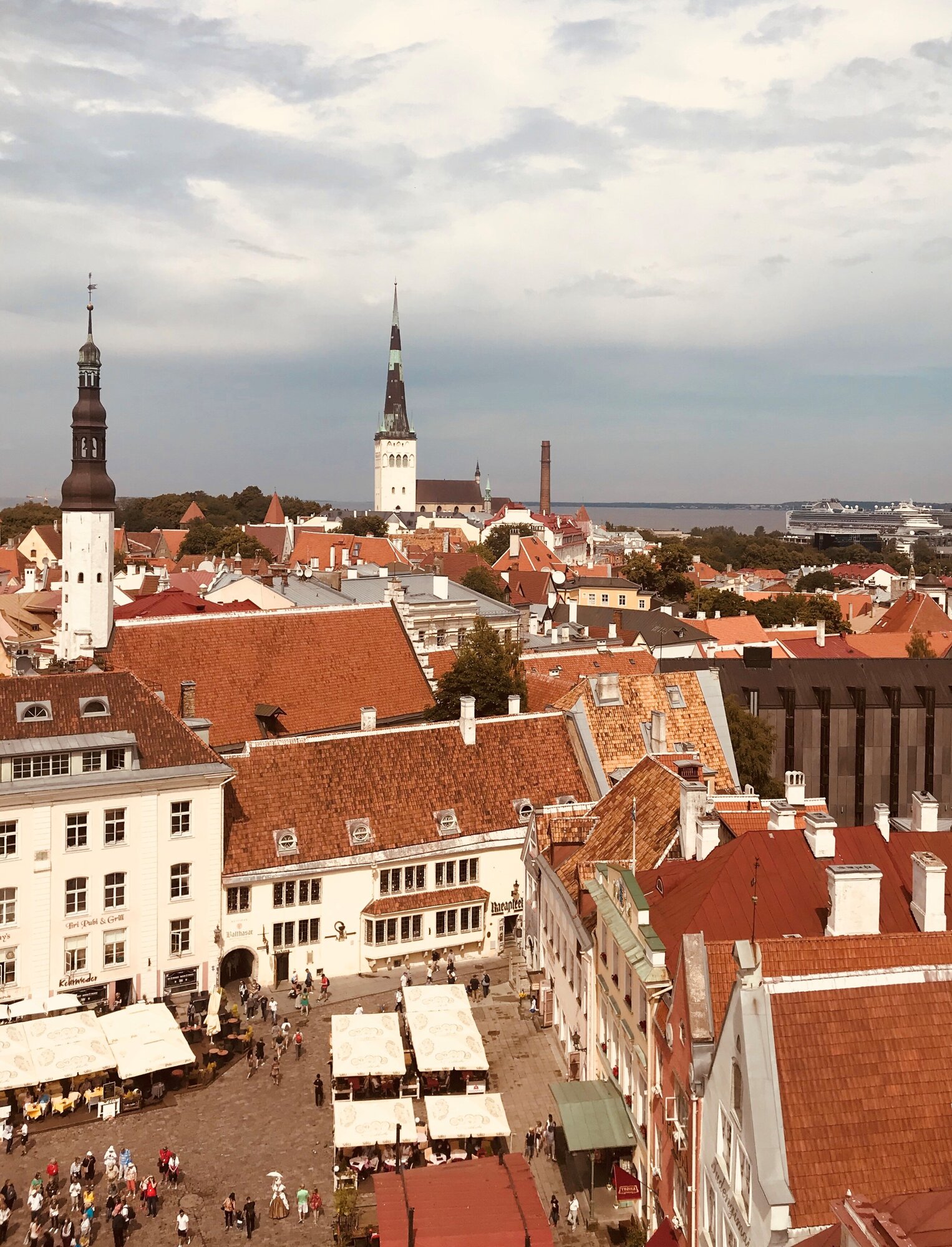 Tallinn from a bird's eye view: viewpoints with the best views of the city