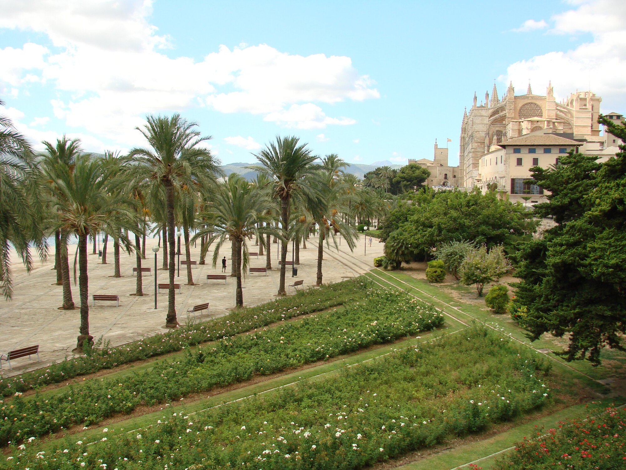 Palma: What to see in one day in Mallorca's capital city