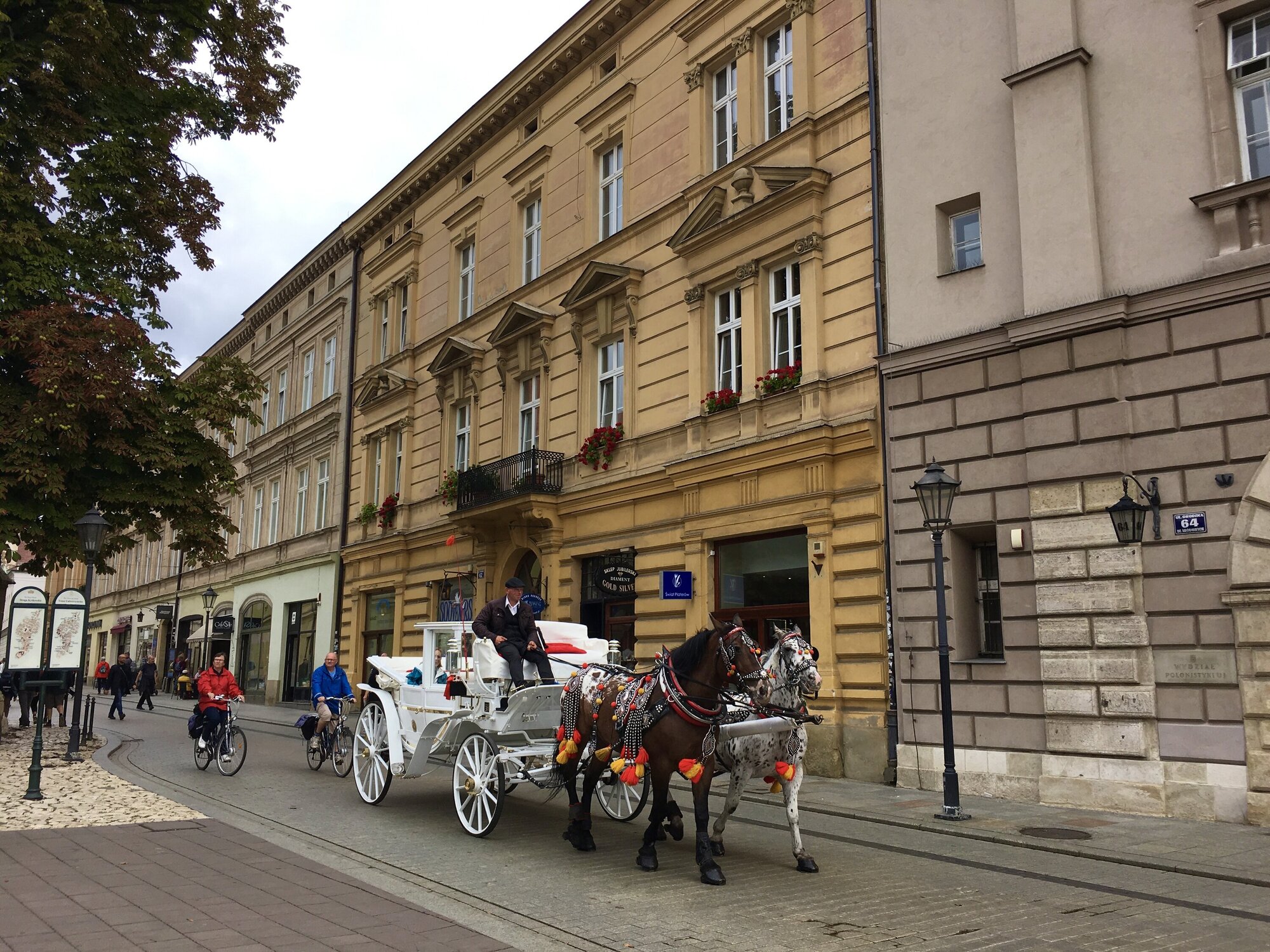 Krakow is photogenic: the most beautiful sights of the city