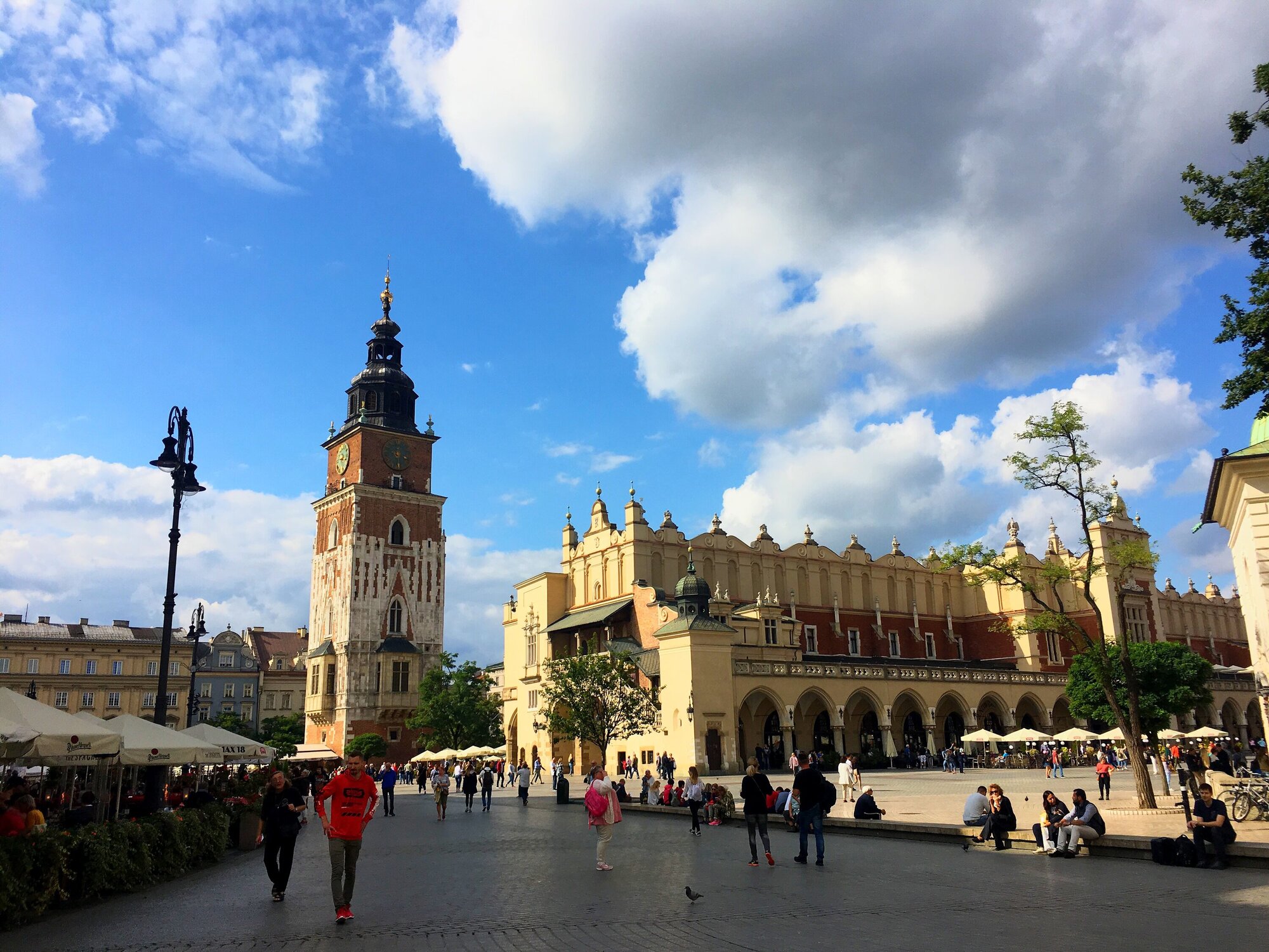 Krakow is photogenic: the most beautiful sights of the city
