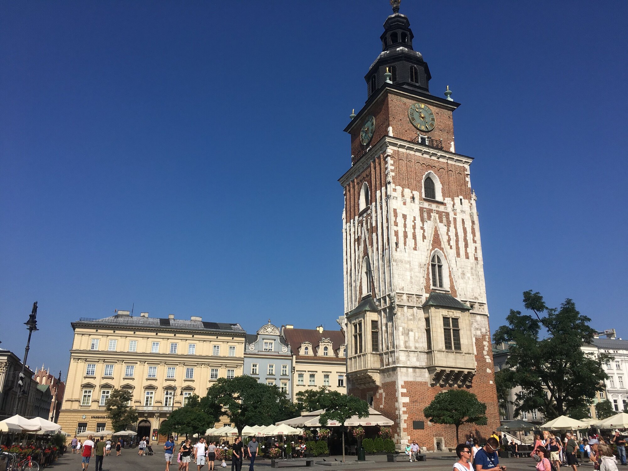 Krakow is photogenic: the most beautiful sights of the city