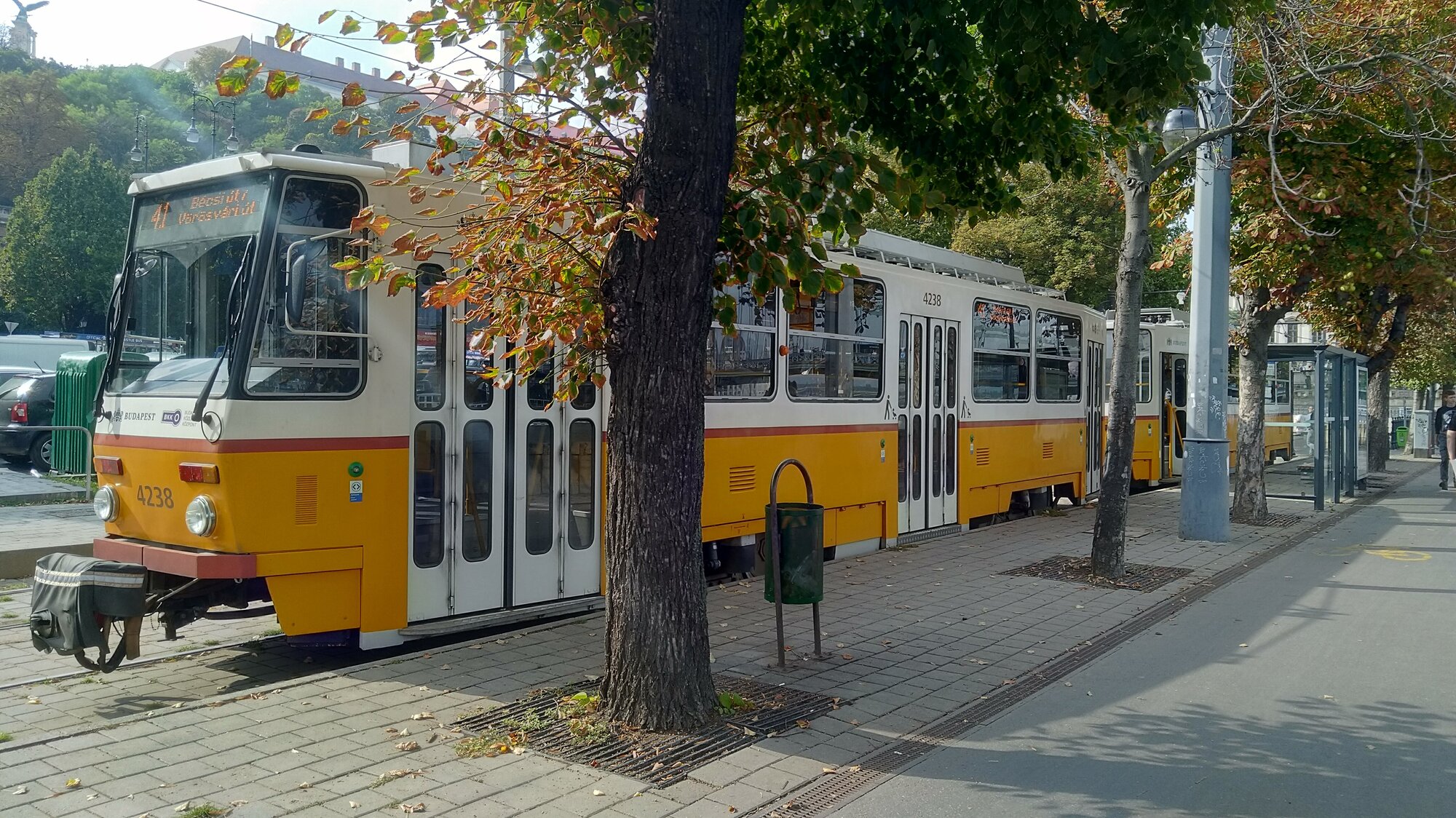 Buses, trolleybuses, streetcars and ferries: all public transportation ...