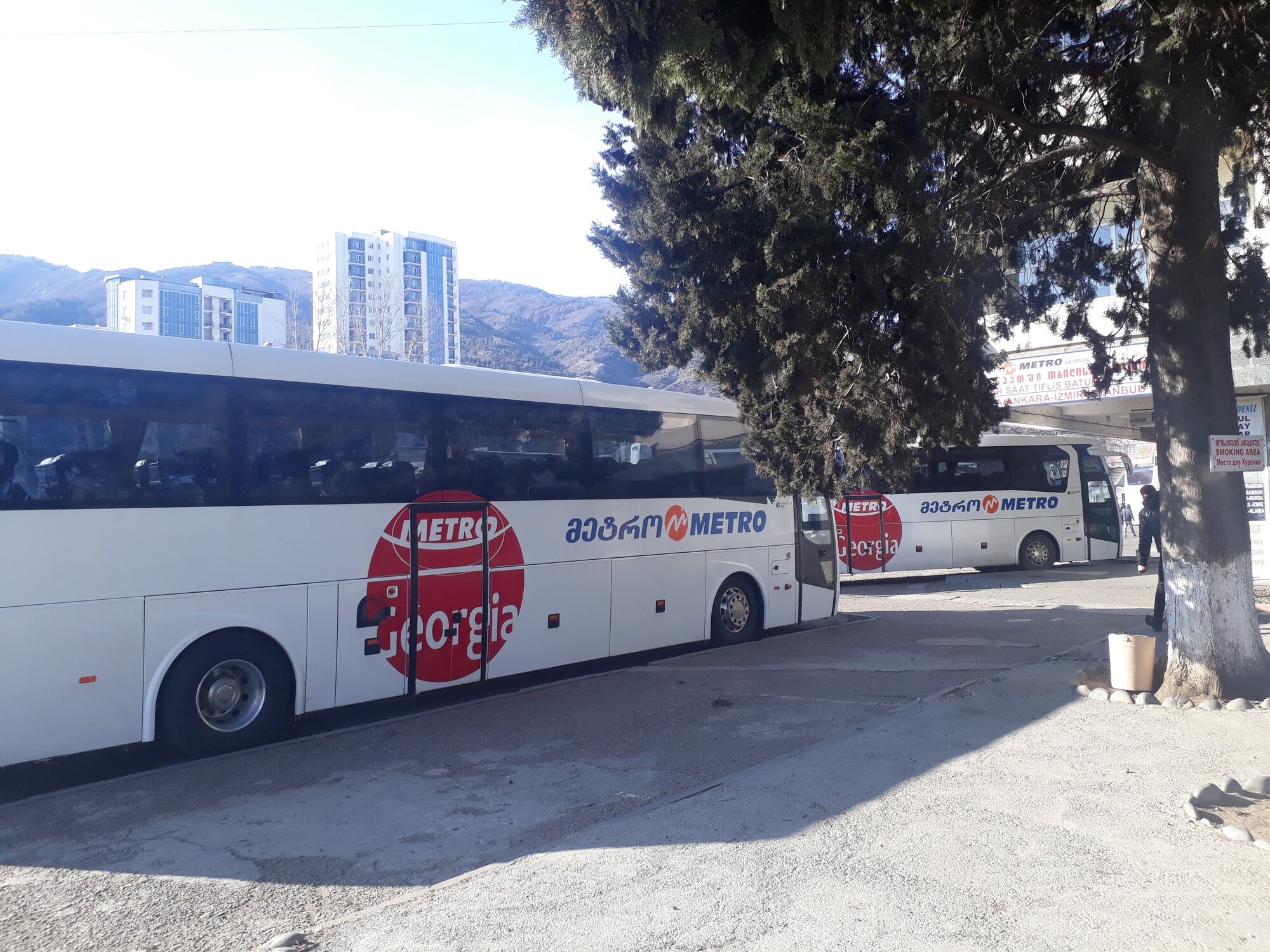 How to use buses in Georgia: bus stations and buses in Tbilisi