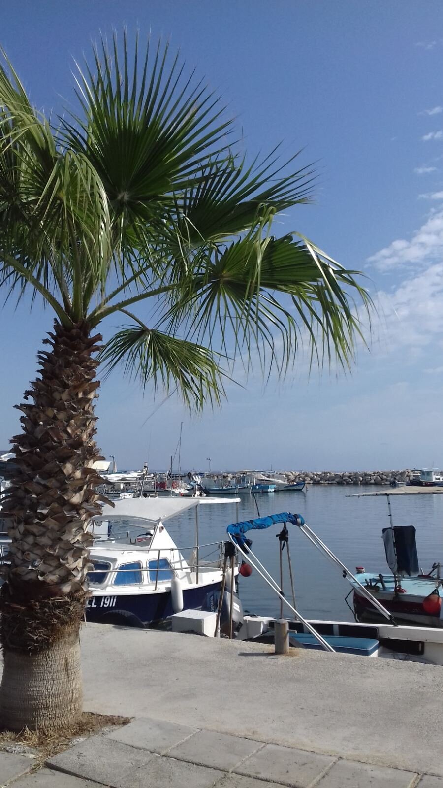 Fenikoudes, Mackenzie and Kastella: A guide to Larnaca's main beaches