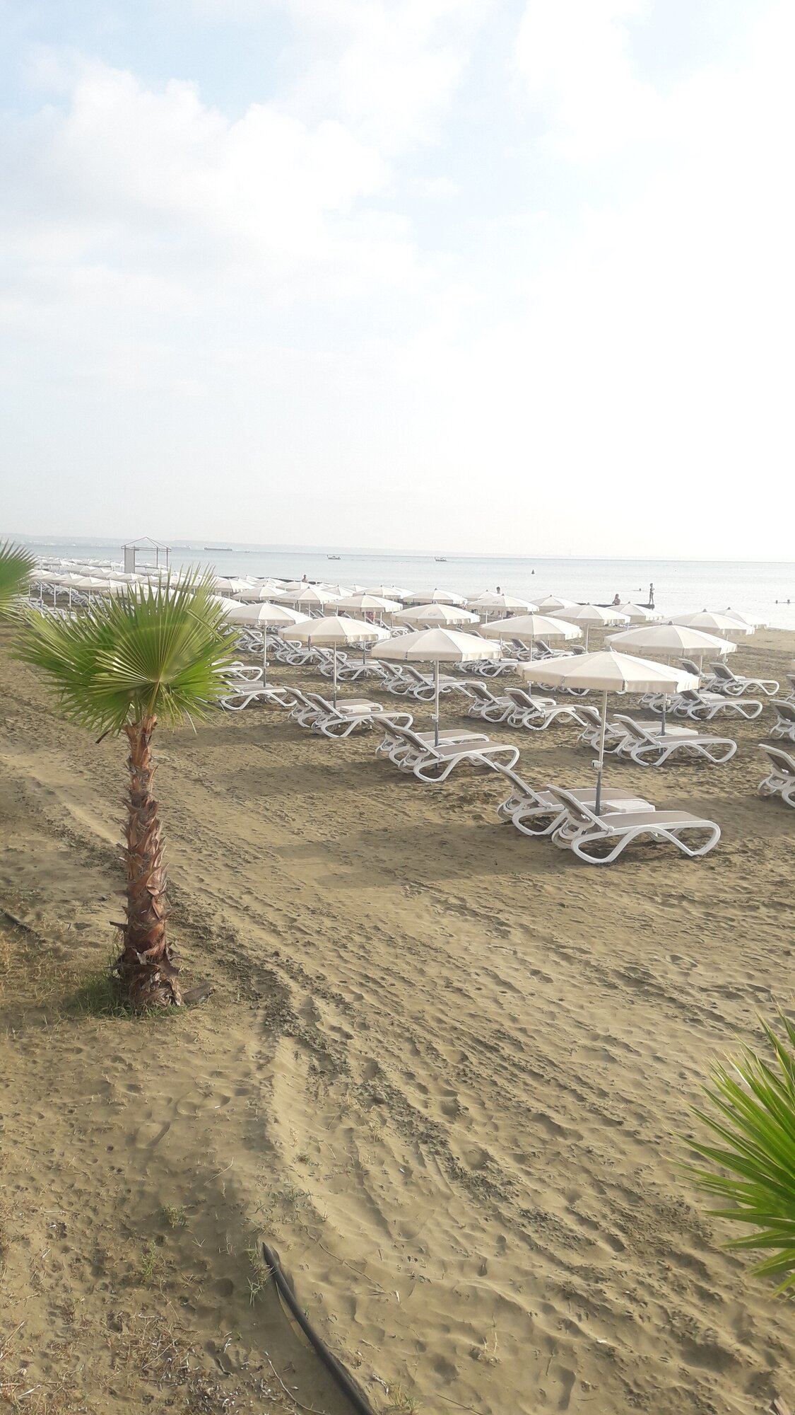 Fenikoudes, Mackenzie and Kastella: A guide to Larnaca's main beaches