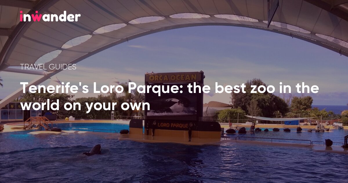Everything you need to know about Loro Parque in Tenerife: how to ...