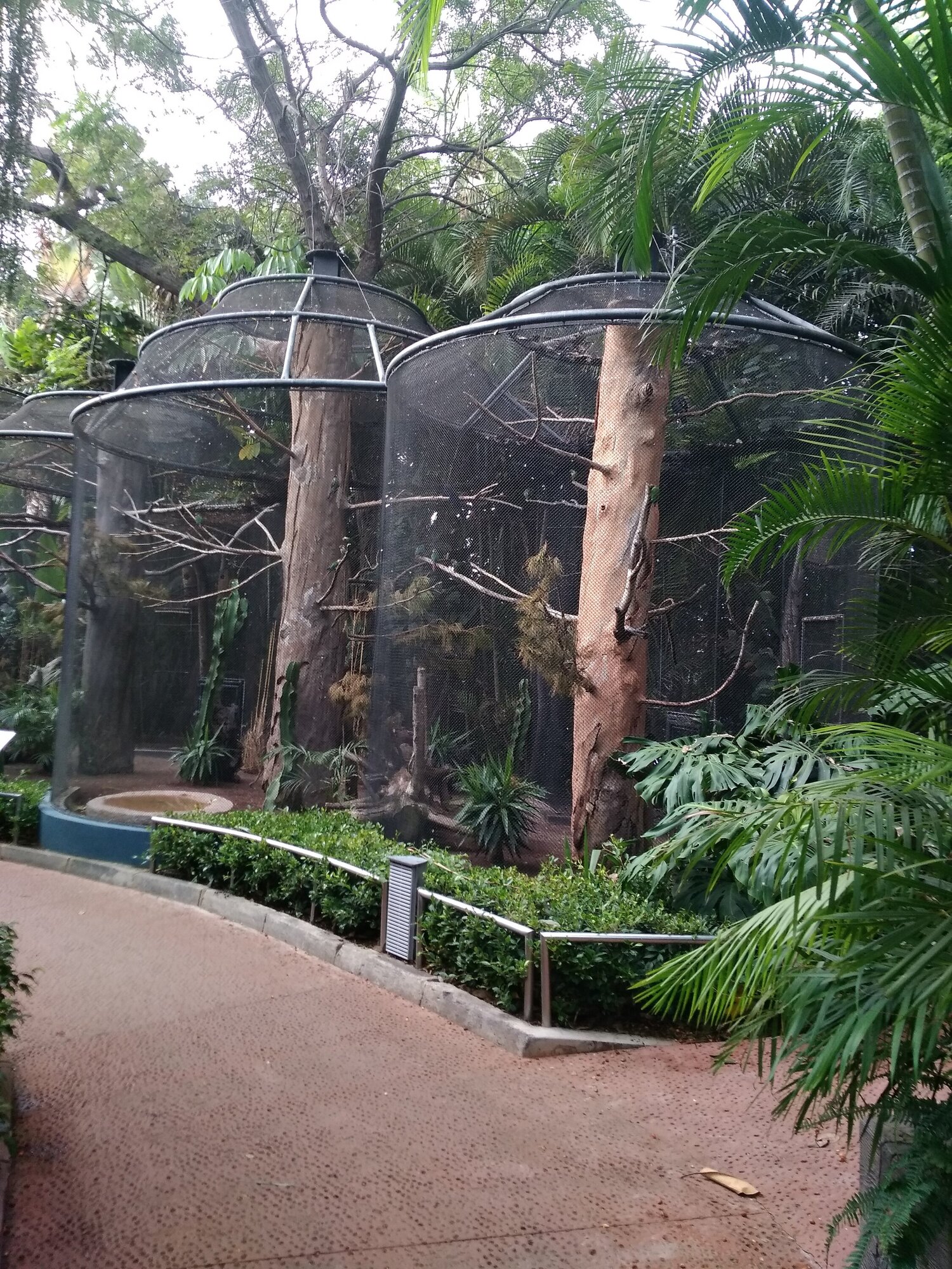 Everything you need to know about Loro Parque in Tenerife: how to ...