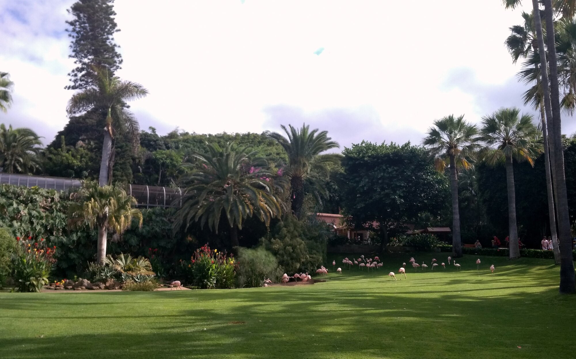 Everything you need to know about Loro Parque in Tenerife: how to ...