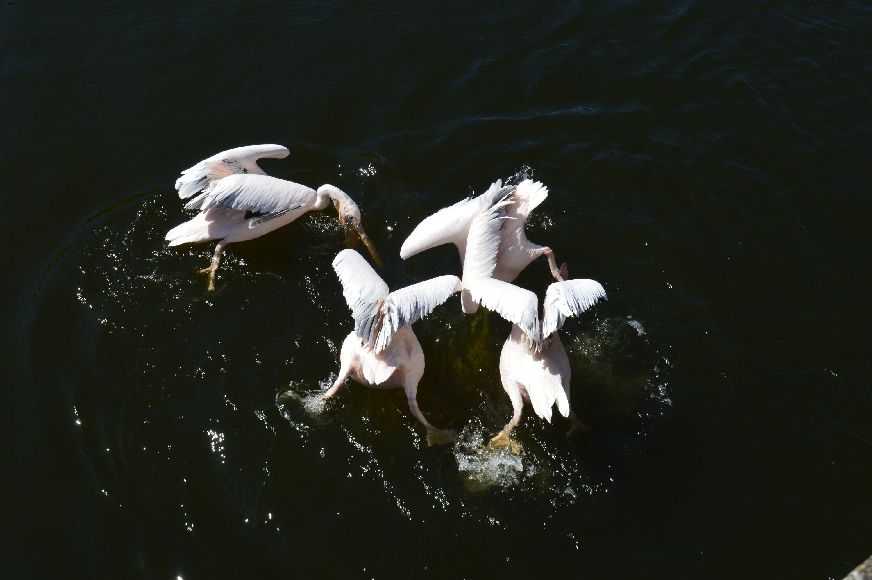 Curonian Spit: main sights from the Lithuanian side