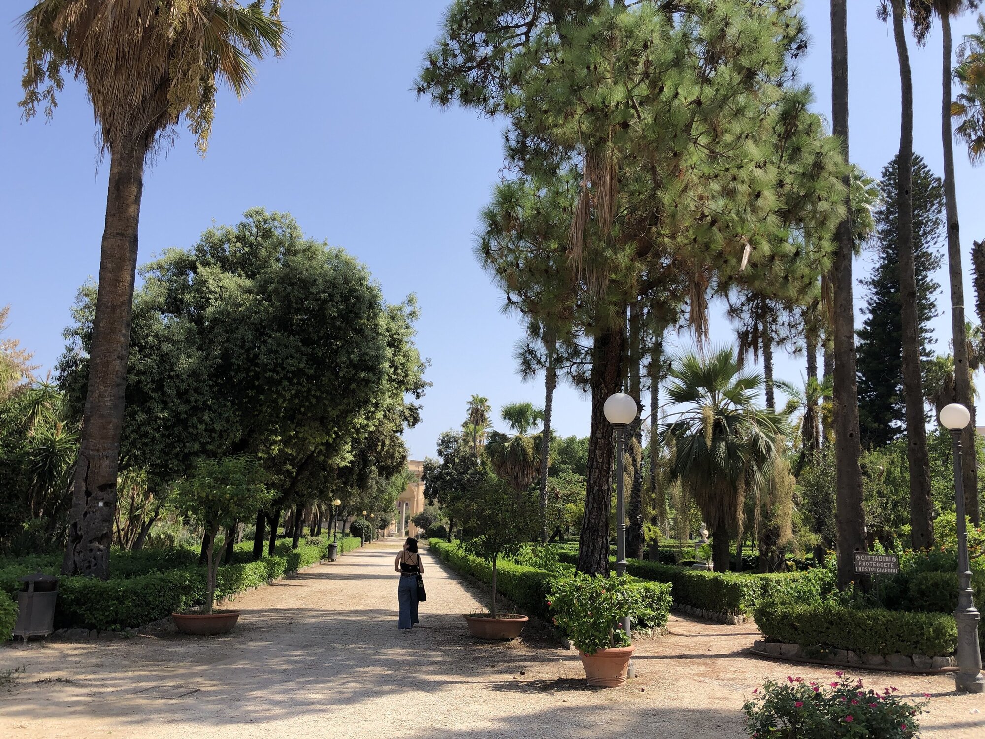 Palermo on your own: a walking tour of the Arab neighborhood of Calsa